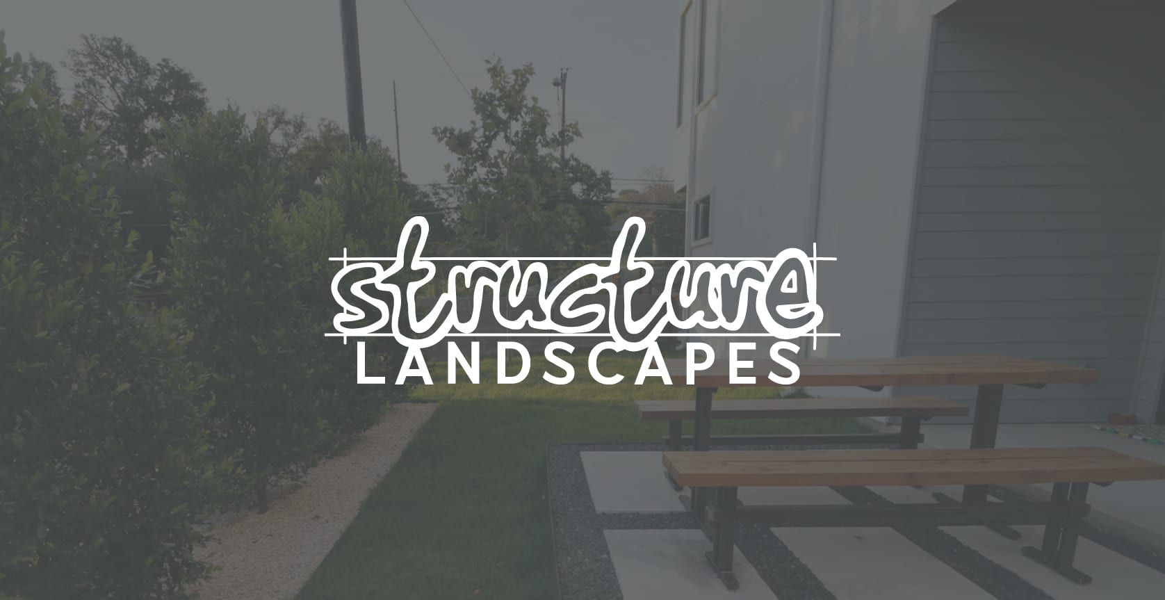 Tradescantia gigantea | Structure Landscapes